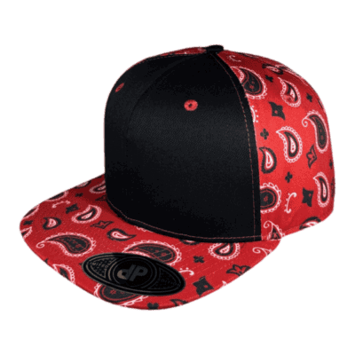 All Snapbacks – Double Portion Supply