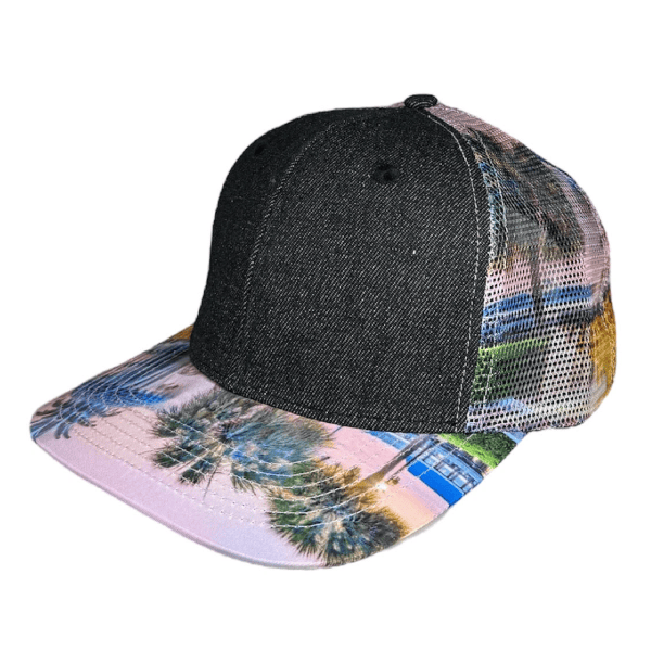 The Charleston Fountain Snapback – Double Portion Supply